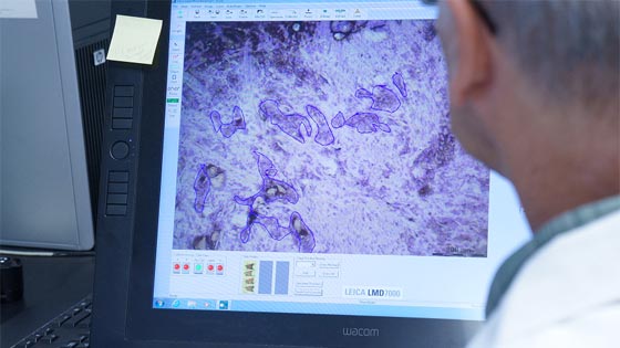 Welcome to the Laboratory Medicine Program